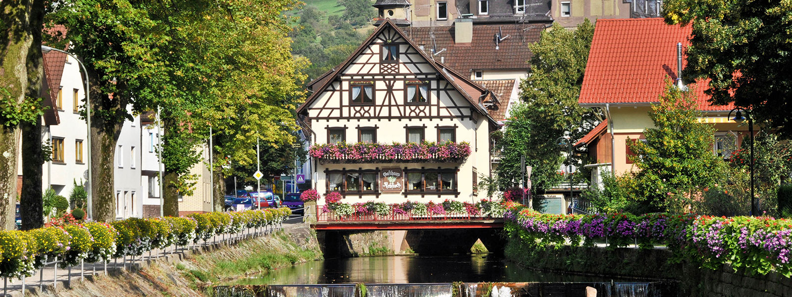 Rebstock Oppenau - Home